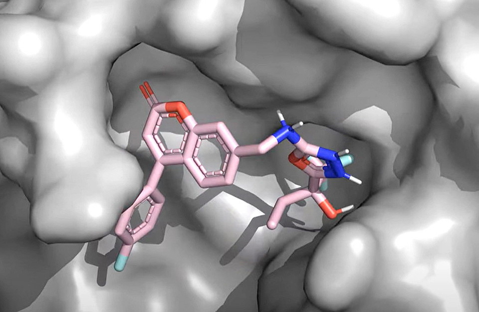 생물학 분야, 인공지능 대형 언어 모델 지원하는 엔비디아 '바이오네모(NVIDIA BioNeMo)' 프레임워크 발표 : 네이버 블로그